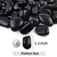 5lbs White River Rocks, 1-2 Inch Natural Pebbles for Indoor Plants ...