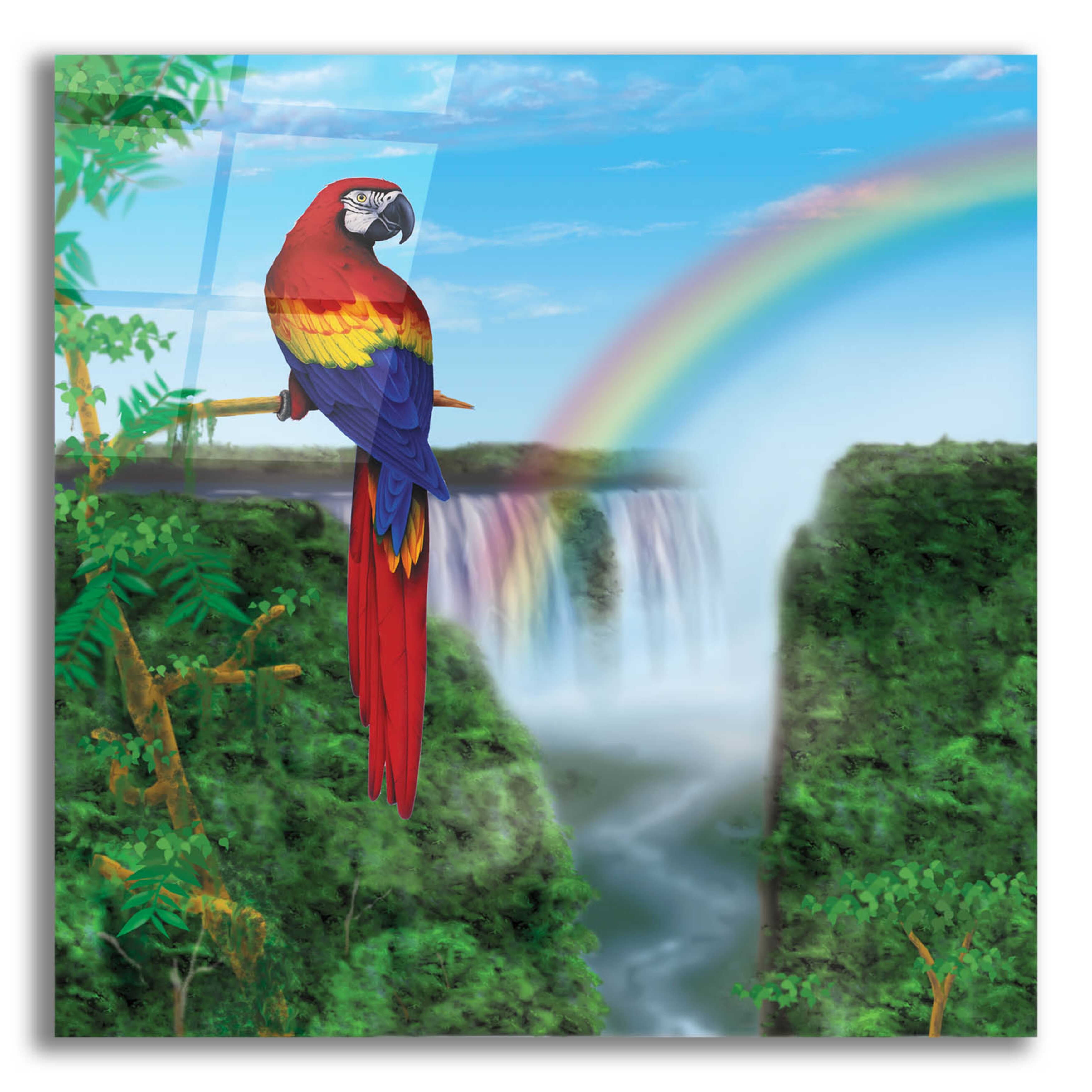Epic Art 'Macaw' by Chris Dobrowolski, Acrylic Glass Wall Art, 12"x12 ...