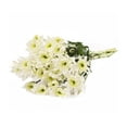 White Cushion Poms - Fresh Cut Flowers - 60 Stems - by Bloomingmore ...