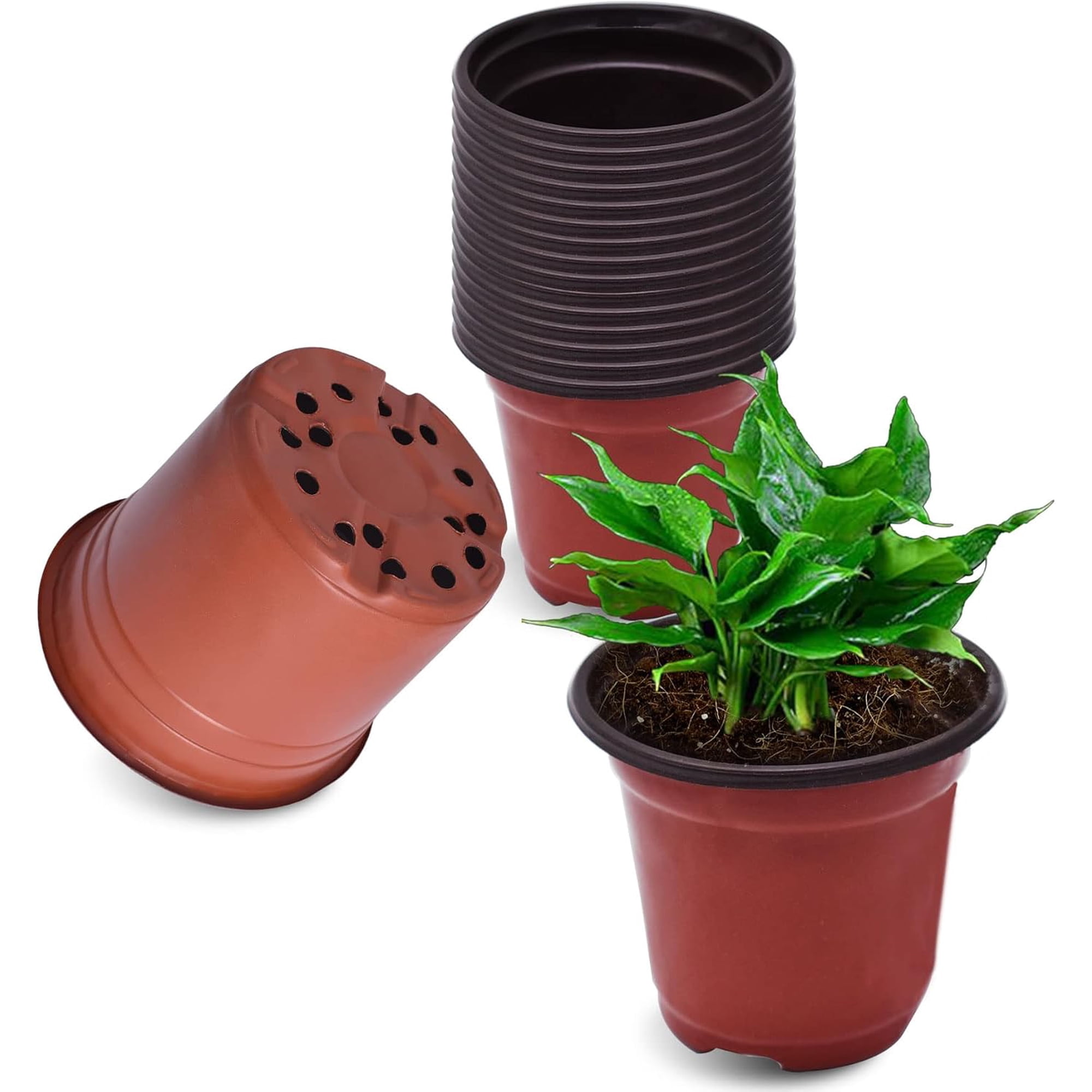 Click here for Unbranded Zoussiqi 100 Pack 8 Inch Nursery Pots Pl... prices