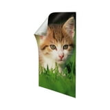 Command Poster Strips, White, Small, 12 Strips/Pack - Walmart.com