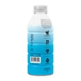 Prime Hydration Sports Drink, Berry Freeze, 16.9 fl oz, 12 Pack ...