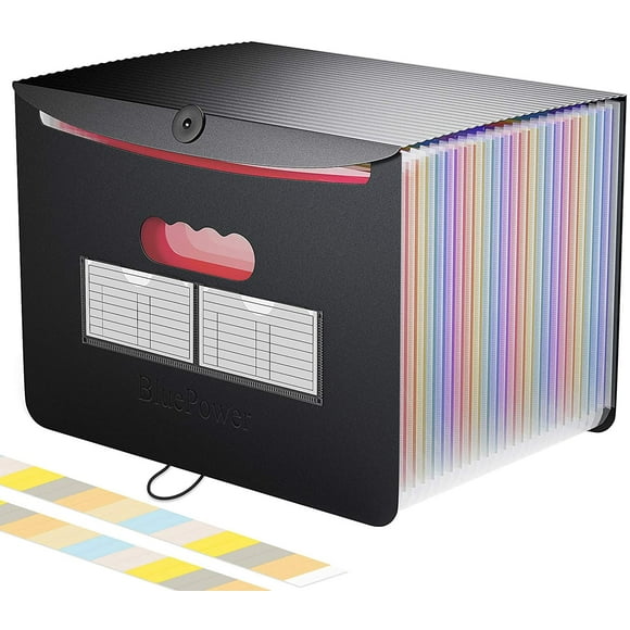 Alphabetical File Organizer