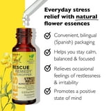 Bach Homeopathic Essence, Original Stress Relief Tincture - Calm ...
