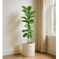 12 Inch Plastic Planter Pots for Plant Pot with Drainage Hole and ...