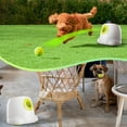 Automatic B Launcher Dogs Interactive Puppy Pet B Indoor Thrower Fetch ...