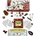 Dancing Bear Fossil Collection Kit: 12 Specimens, Trilobite, Dinosaur ...
