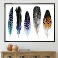 Designart 'Colourful Boho Art Feathers II' Bohemian & Eclectic Framed ...