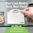 bugmd Pantry Moth Traps, 6 Count, White, Indoor Pest Control, Pheromone Glue, Easy to Use ...
