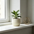 Mini Plant Pot Small Planter for Mini Green Plants Cacti Colorful Resin ...