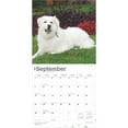 Great Pyrenees | 2025 12x24" (Hanging) Wall Calendar | Plastic-Free ...