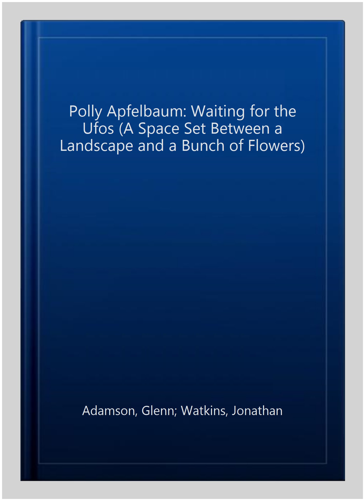 Polly Apfelbaum: Waiting for the Ufos (A Space Set Between a Landscape ...
