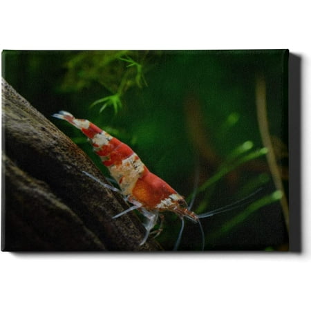 Girl Art Wall Decor Crystal Red Shrimp Standing On Aquatic Moss Paint ...