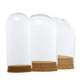 8/10/12cm Modern Handcraft Glass Dome Cover Dry Flower Vase With Wood ...
