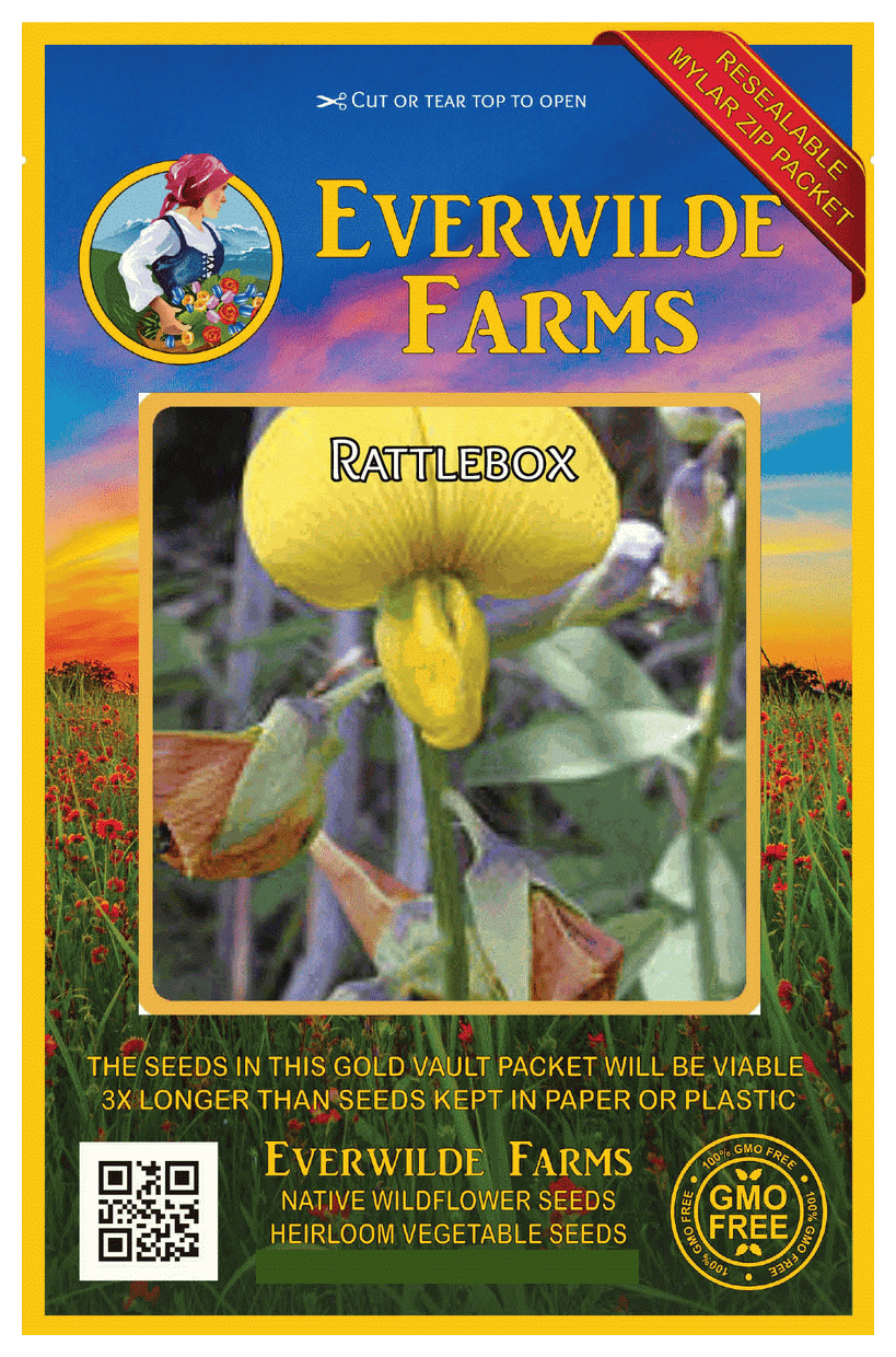 Everwilde Farms - 100 Rattlebox Native Wildflower Seeds - Gold Vault ...