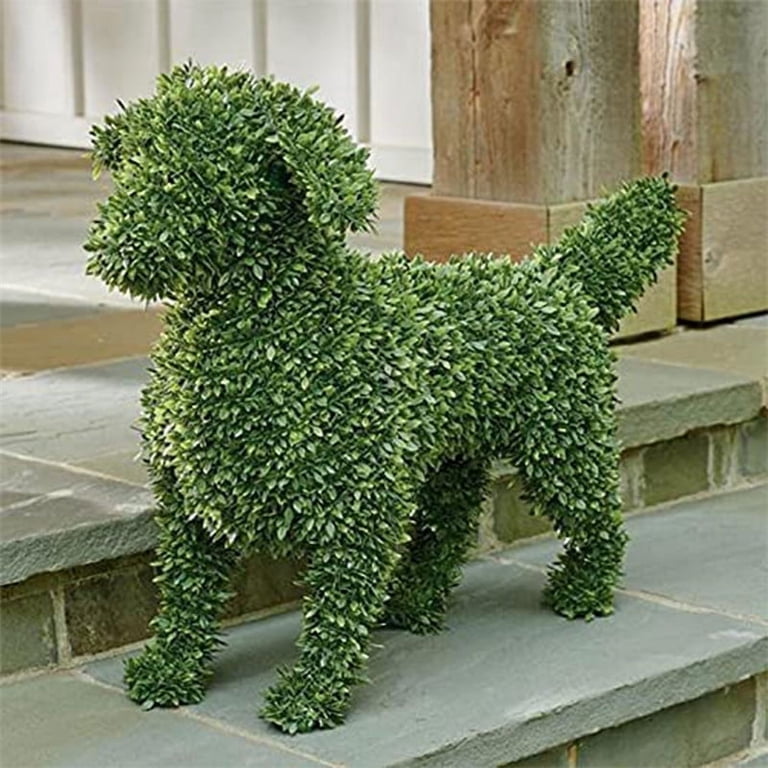 Boxwood Topiary Animals