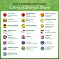 Created By Nature, Wildflower Seed Mix, 54,000+ Seeds, 22 Varieties ...