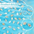 200G Spiral Shell Pendants Shell Shape Charms Pale Goldenrod 13~19x6 ...