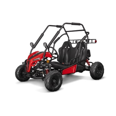 Coleman Powersports GK200 196cc 2 Seater Gas Powered Go-Kart, for Ages ...