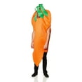 Rubies Carrot Costume for Adults, Unisex One Size - Walmart.com