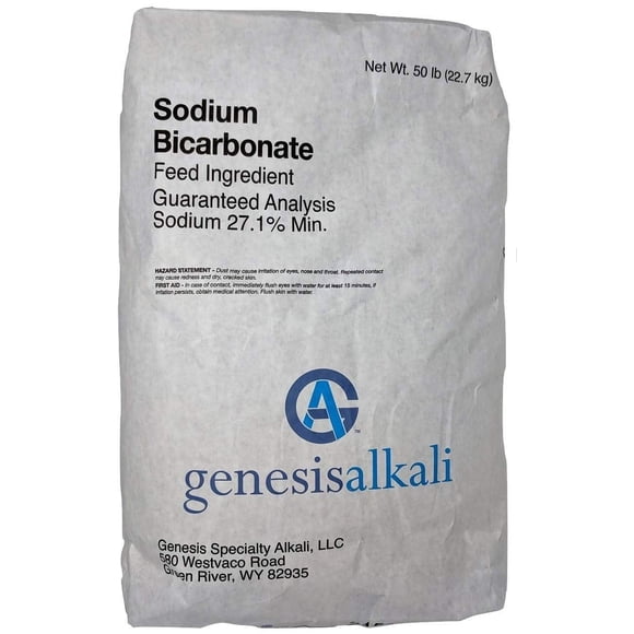 Baking Soda Bulk 50 Lb