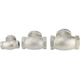 Swing Check Valve, 304 Stainless Steel, BSPT Female, 1/2 to 2 in ...
