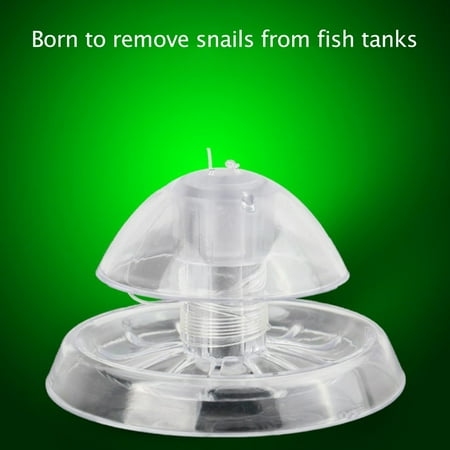 Lutabuo Tank Snail Removal Device Fish Tank Snail Catcher Trapping ...
