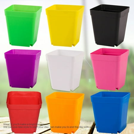 Volkmi Small black square colorful 7cm succulent small square flower ...