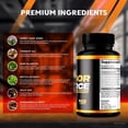 NutraVibe Vigor Force, High Performance Formula, Men's Wellness, Energy ...