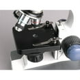 AmScope 40x-1000x Metal Frame Compound Microscope with 25 Prepared ...