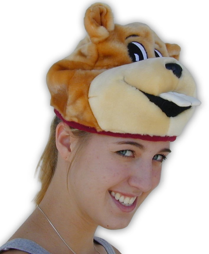 Team Heads Minnesota Golden Gophers Mascot Hat - Walmart.com