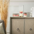 WoodWick Blooming Orchard Scented Trilogy Ellipse Candle, Crackles as ...