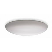 Lithonia Lighting Replacement Lens - Walmart.com