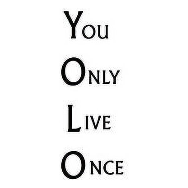 Nice Yolo Quotes The Only 60 YOLO Quotes You Need In Life