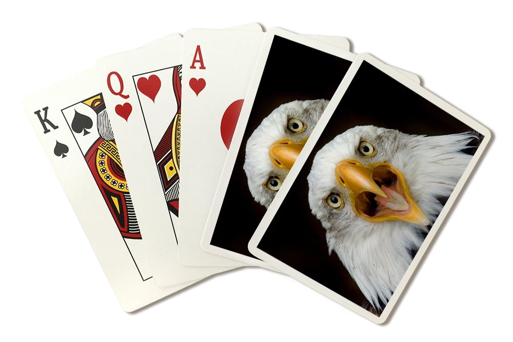 Bald Eagle Face, Lantern Press, Premium Playing Cards, 52 Card Deck ...