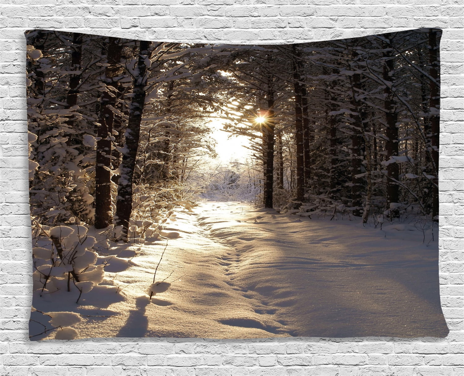Winter Tapestry, Christmas Season with Snow and Frozen Forest Sun Rays ...