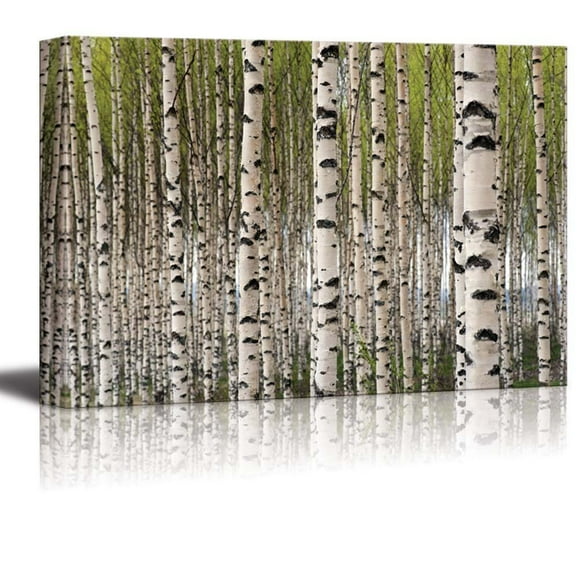 Green Tree Gallery Picture Frames