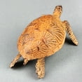 Tortoise Model Realistic Tortoise Statue Realistic Turtle Figurine ...