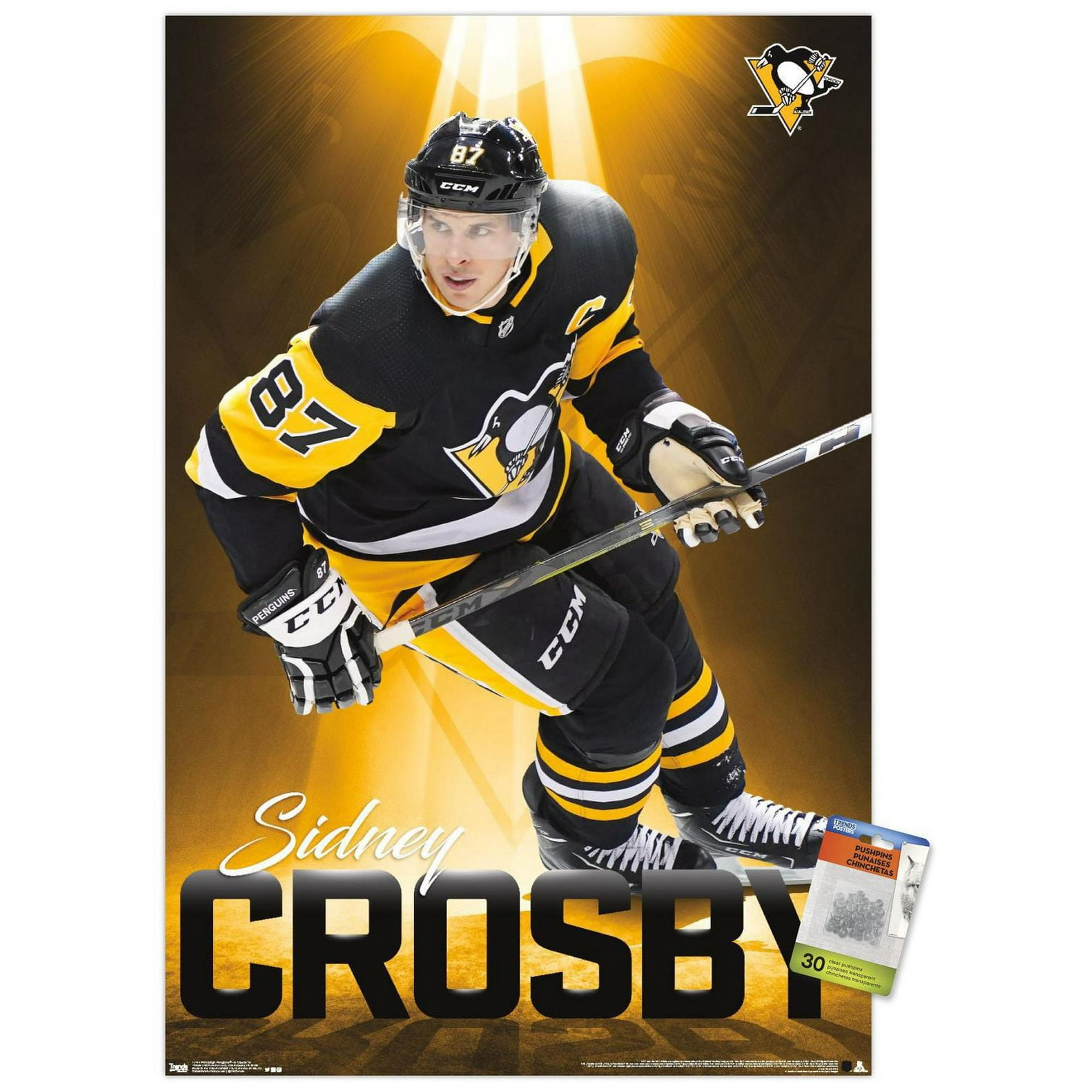 Click here for Trends International Nhl Pittsburgh Penguins - Sid... prices