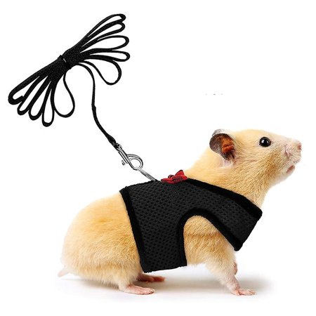 Adjustable Rabbit Harness And Breathable Vest Belt For Rabbits ...