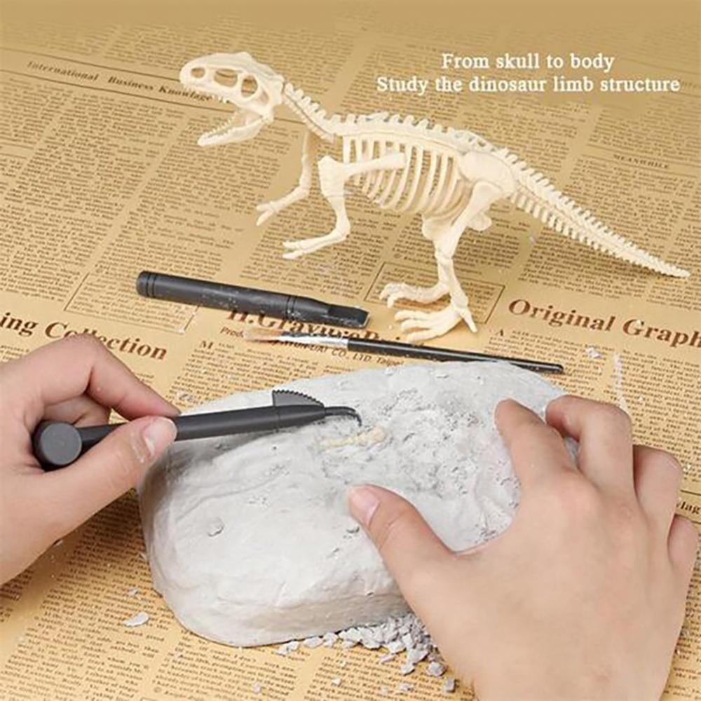Buy Forzero 4D T-Rex Dinosaur Anatomy Kit, Interactive Archaeology ...