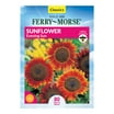 Burpee Evening Sun Mix Sunflower Flower Seed, 1-Pack for Planting - Walmart.com