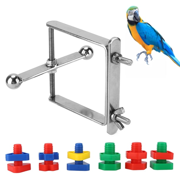 Birds Puzzle Toy, Durable Stainless Steel Birds Brain Teaser And Mind ...