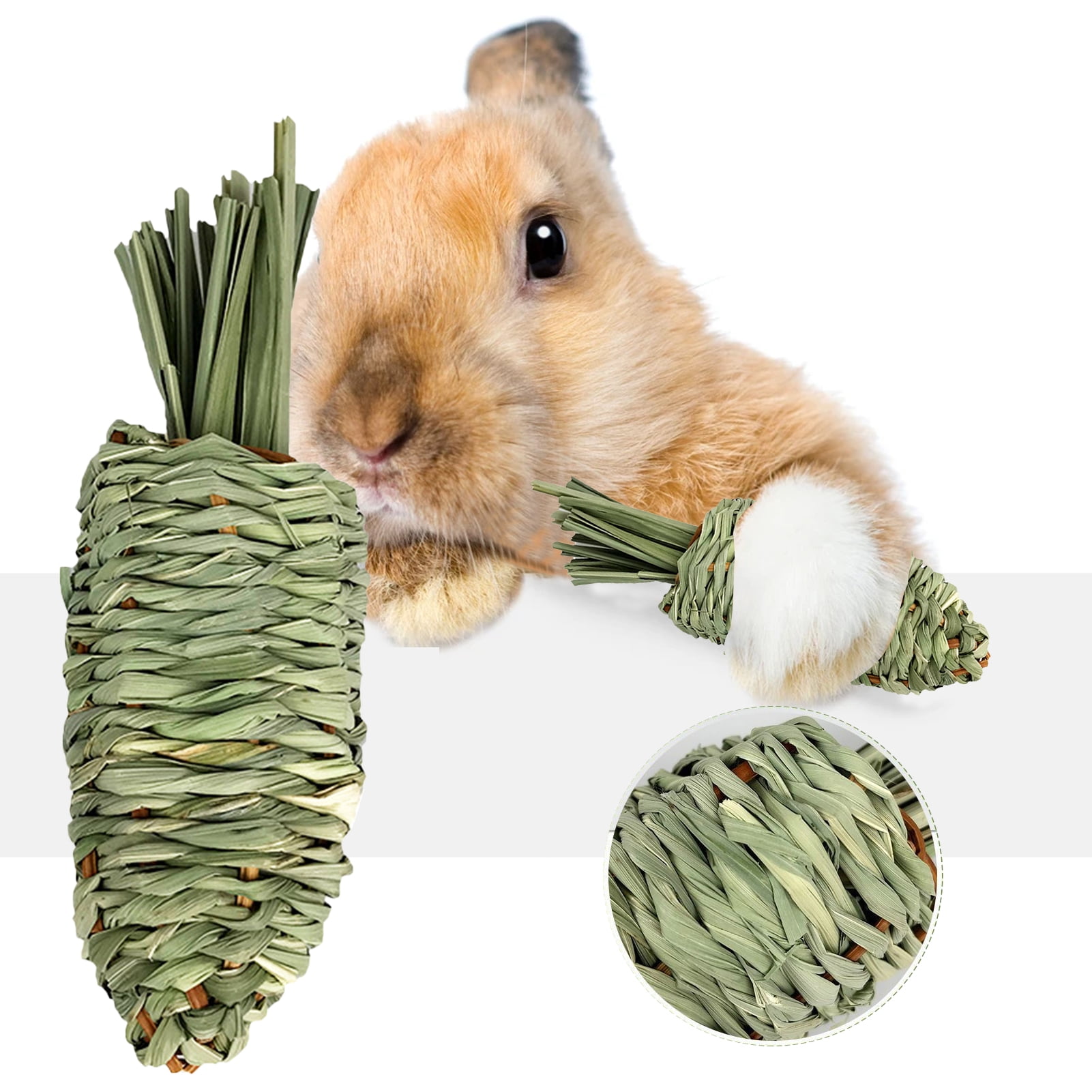 Visland 2Pcs Bunny Chew Toys,No Hot Glu Grass Carrots Good for Bunny ...
