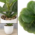 18 Inch Artificial Fiddle Leaf Fig Plant Green Plants#05 Potted In ...