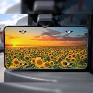 Cotton License Plates and Car Tags - Seal of Cotton gifts - Walmart.com