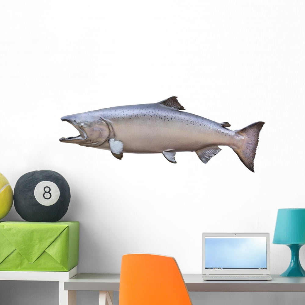 Big King or Chinook Wall Mural Decal by Wallmonkeys Vinyl Peel and ...