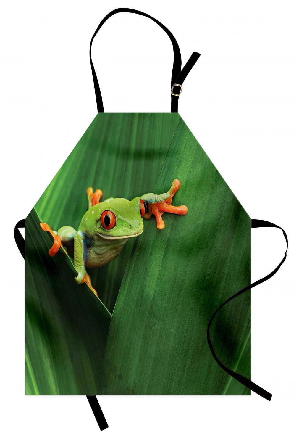 Animal Apron Cute Red Eyed Frog between Exotic Macro Big Leaves Wild ...