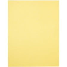 Domtar DMR81067 Colored Paper | Walmart Canada