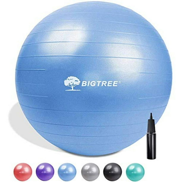 Exercise Ball Blue 21.6" Core Stability Strengthening Extra Thick Heavy ...
